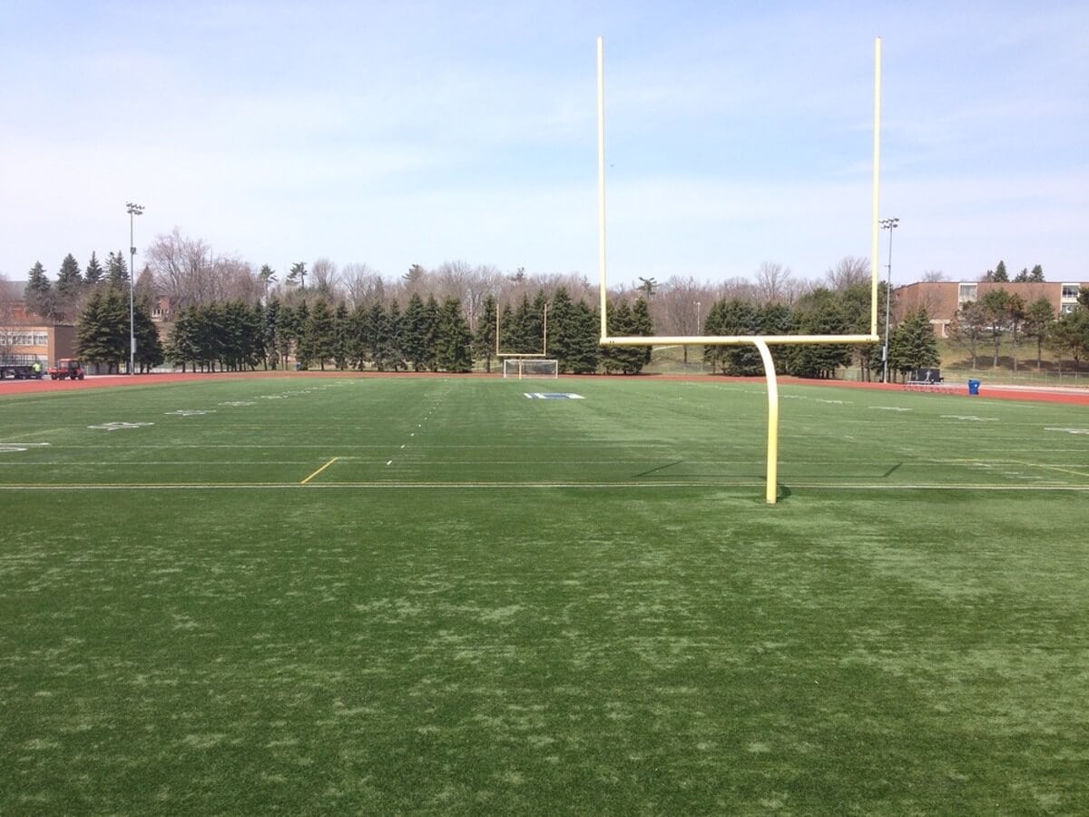 Artificial Grass And Artificial Turf For Sports